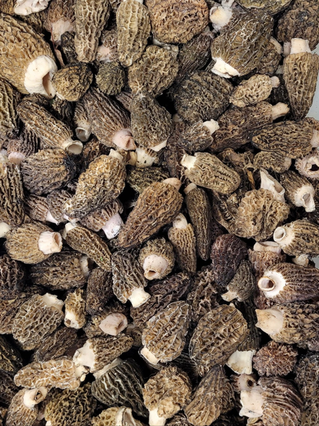 Fresh Dark Morel Mushrooms - Per Pound - Shipping Monday-Thursday ...